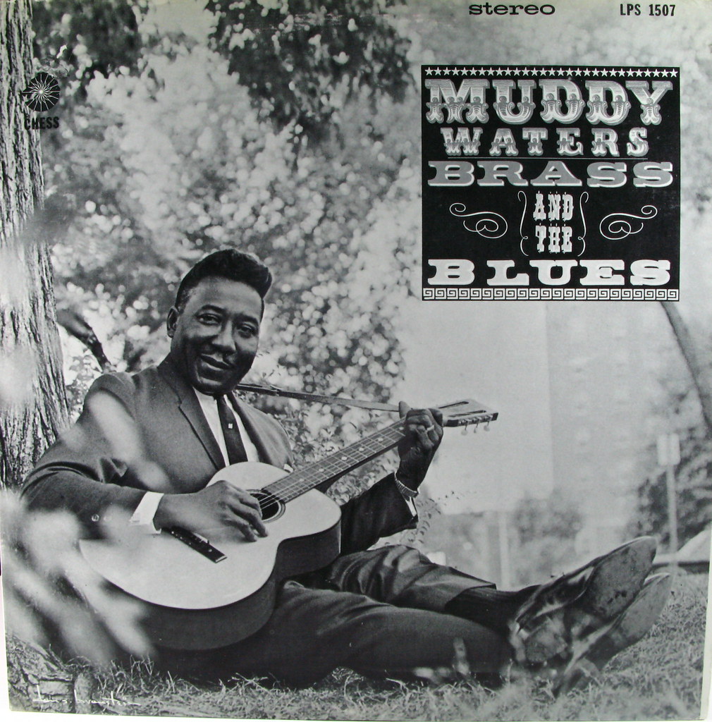 Muddy Waters | Laura Giordano